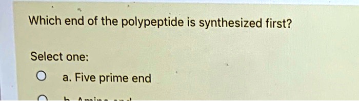 which end of the polypeptide is synthesized first select one a five ...