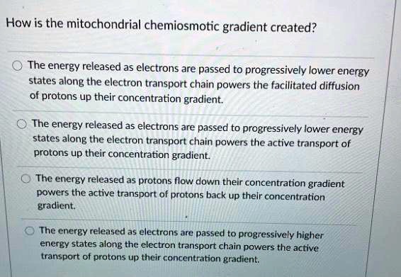how is the mitochondrial chemiosmotic gradient created the energy ...