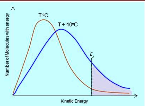 SOLVED: Analyse the Maxwell Boltzmann distribution curve to explain the ...