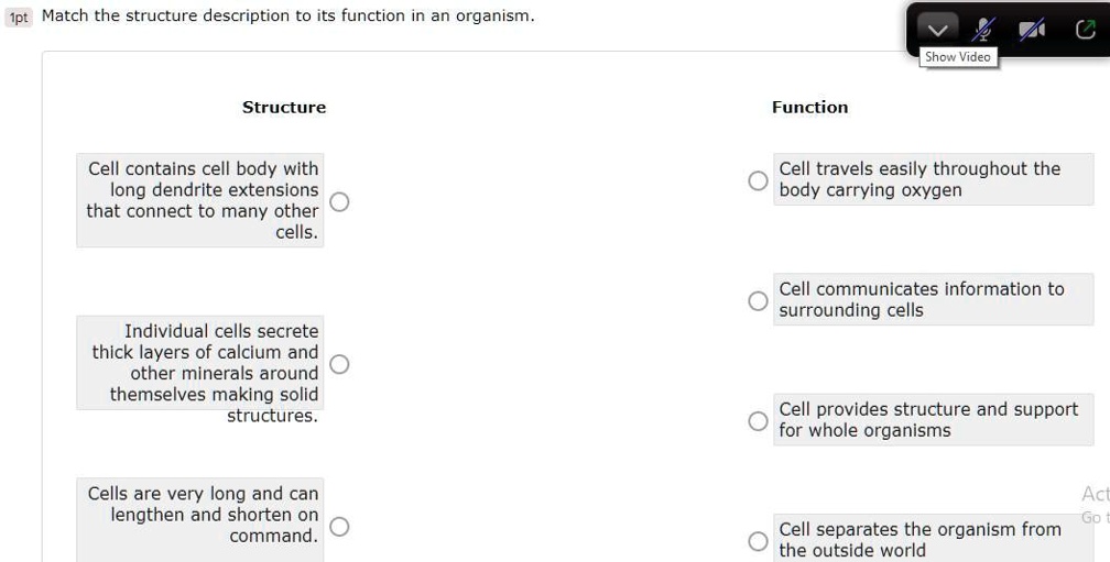1pt Match the structure description to its function in an organism ...