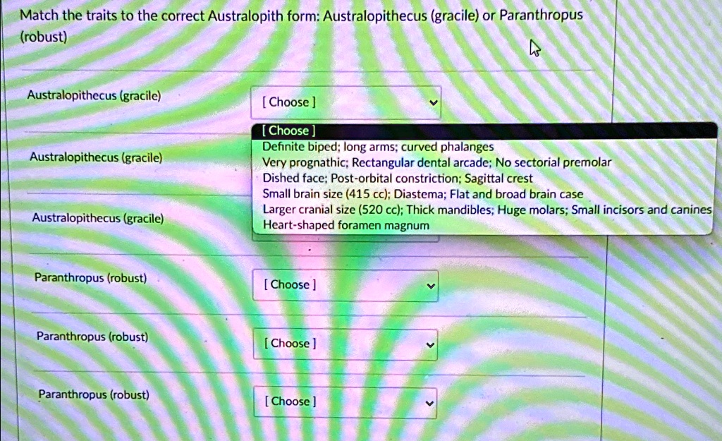 Match the traits to the correct Australopith form: Australopithecus ...