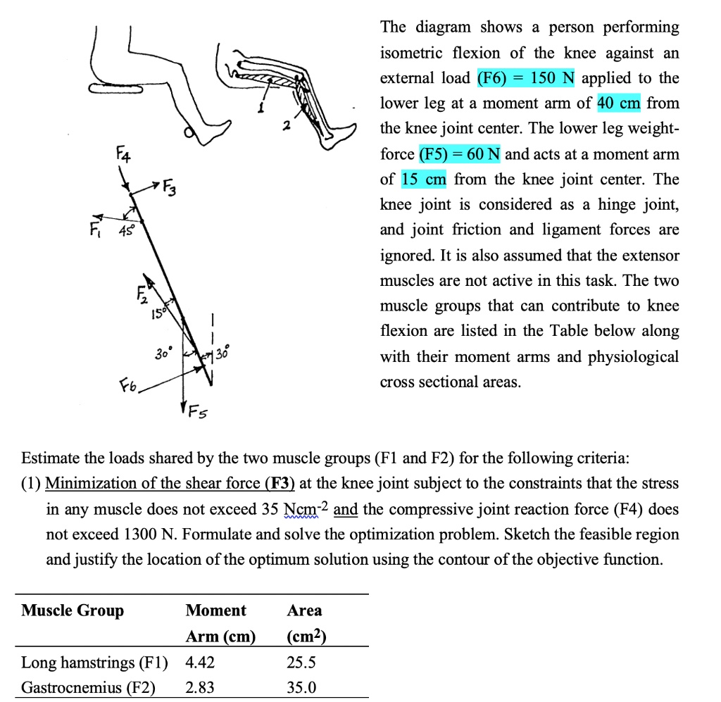 SOLVED: The diagram shows a person performing isometric flexion of the ...