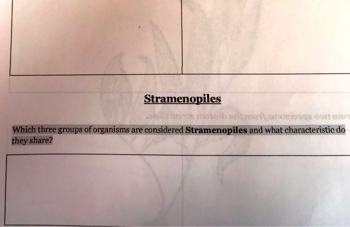 SOLVED: Stramenopiles are a diverse group of organisms that include ...
