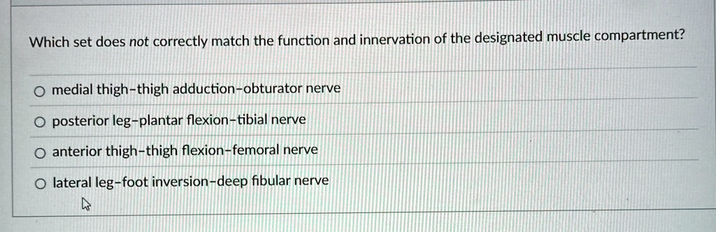 Which set does not correctly match the function and innervation of the ...