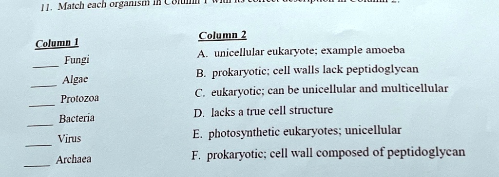 11. Match each organism in Column 1 with its correct description in Column 2. Column 1 Fungi ...