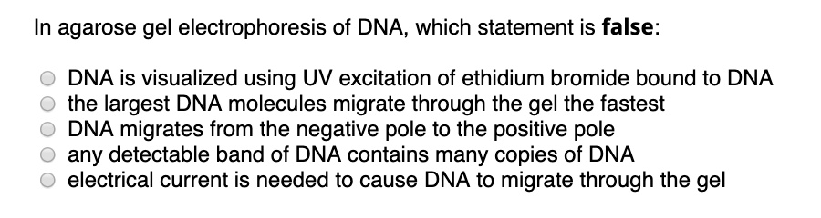 In agarose gel electrophoresis of dna which statement is...