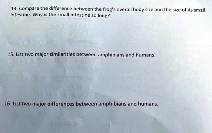 SOLVED: 14 Compare the difference between the frog's overall body size and the size of its small ...