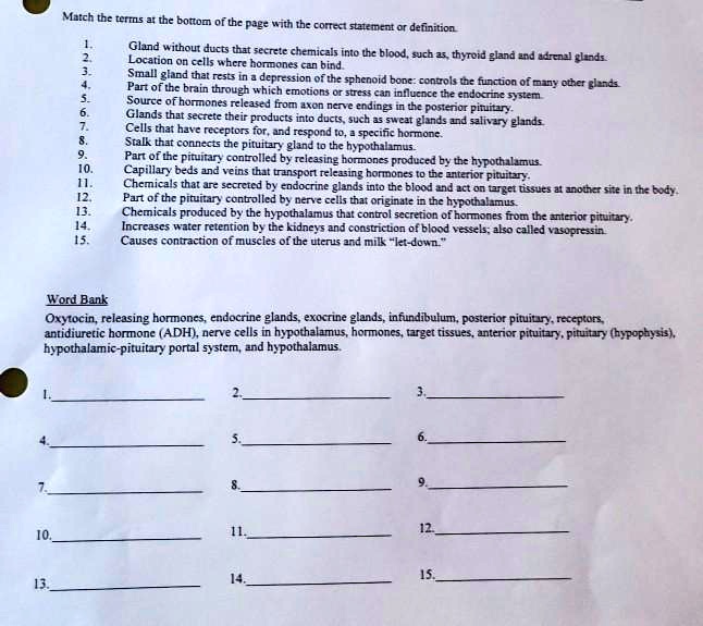 SOLVED: Match the terms at the bottom of the page with the correct ...