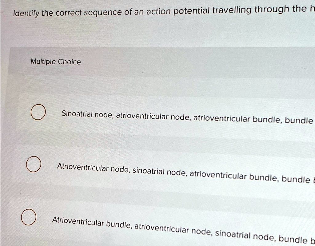 Identify the correct sequence of an action potential travelling through ...
