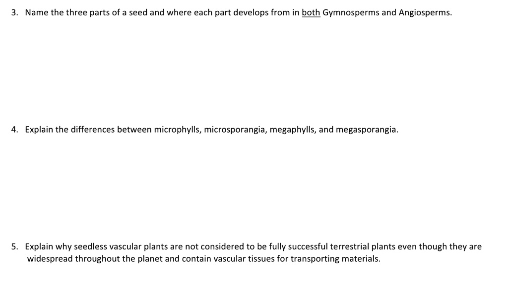 Name the three parts of a seed and where each part develops...