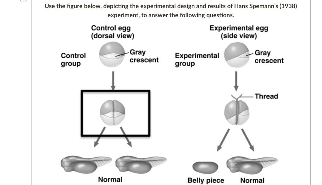 SOLVED: Use the figure below; depicting the experimental design and ...