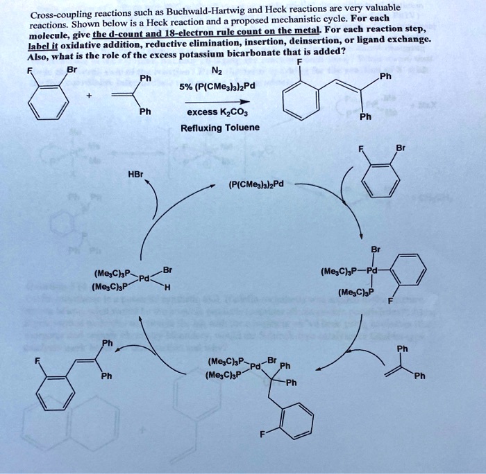 SOLVED: Text: Such Buchwald-Hartwig and Heck reactions are very ...