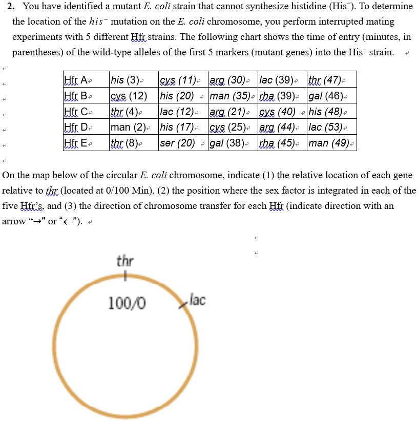 You Have Identified A Mutant E Coli Strain That Cannot Synthesize 1917