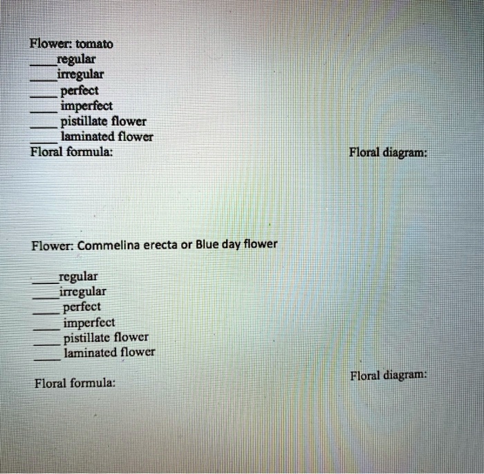 flower tomato pegular inregular perfect imperfect pistillatc flowcr ...