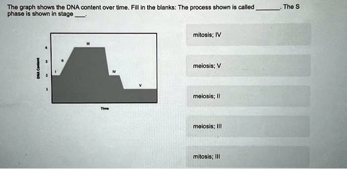 The graph shows the DNA content over time. Fill in the blanks: The ...