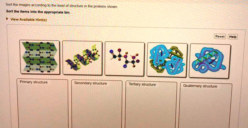 Sort the images according to the level of structure in the proteins shown. Sort the items into ...