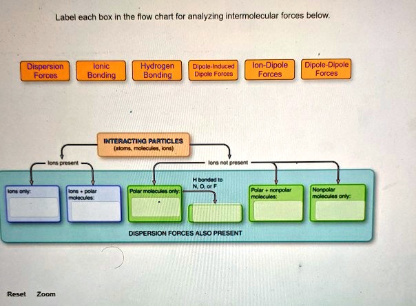 SOLVED: Dispersion Forces Ionic Bonding Hydrogen Bonding Dipole-Induced ...