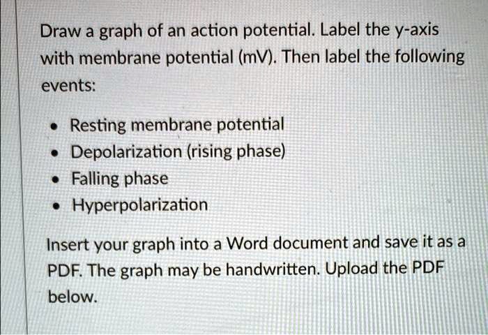 SOLVED: Draw a graph of an action potential: Label the Y-axis with ...