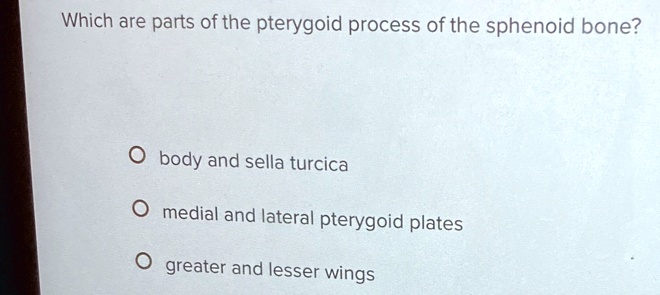 Which are parts of the pterygoid process of the sphenoid bone? O body ...