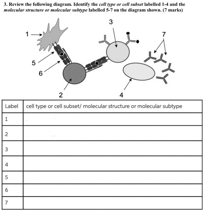 SOLVED: Immunology Simple Labelling