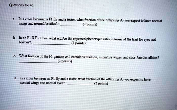 SOLVED:Questions for #6: In a coss between a Fl fy and a tester, what ...