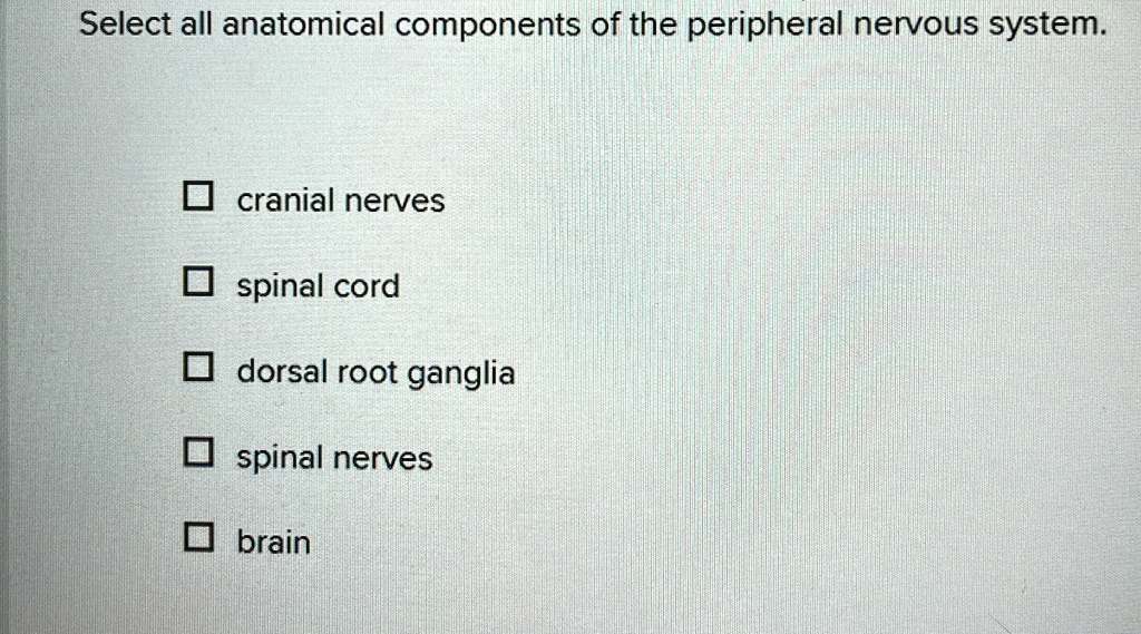 select all anatomical components of the peripheral nervous system ...