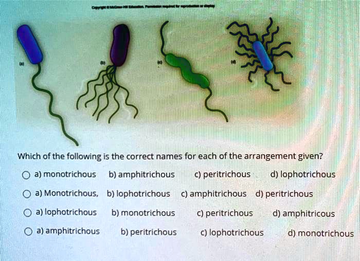 SOLVED: Which of the following is the correct name for each of the ...