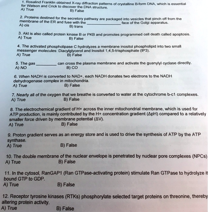 rosalind franklin obtained x ray ditfraction patterns of crystalline b ...