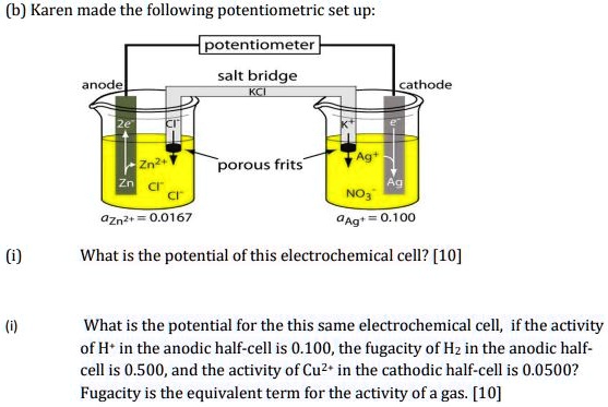 SOLVED:(6) Karen made the following potentiometric set up ...