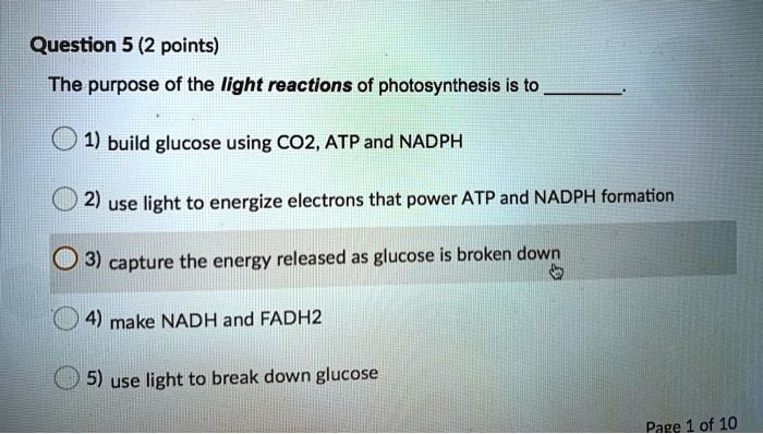 question 5 2 points the purpose of the light reactions of ...