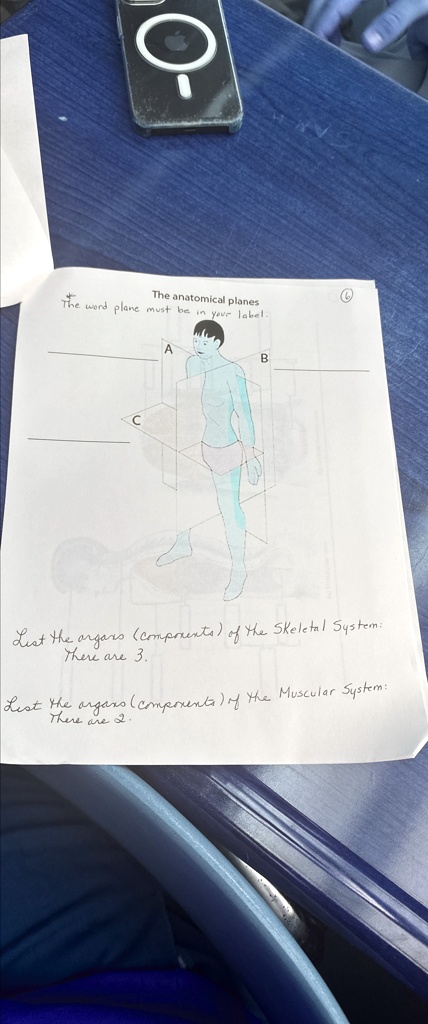 the anatomical planes 6 the word plane must be in your label list the ...