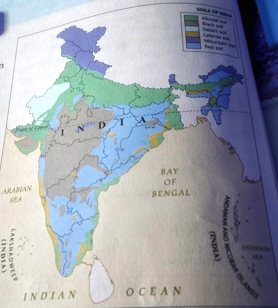 SOLVED: 'Write four facts about political map'