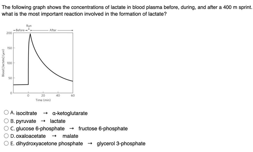 SOLVED: The following graph shows the concentrations of lactate in ...