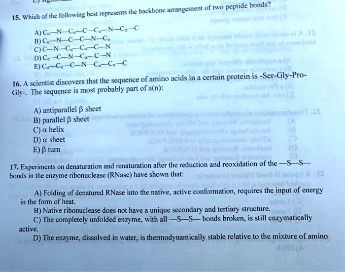 SOLVED: The backbone arrangement of two peptide bonds? 15. Which of the ...