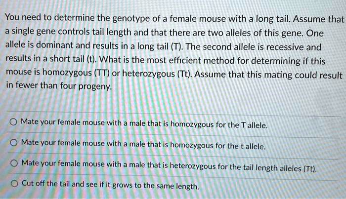 SOLVED: You need to determine the genotype of a female mouse with a long tail Assume that single ...