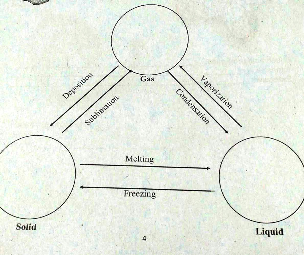 SOLVED: Activity 1: Draw me Direction/Instruction: Draw the arrangement ...