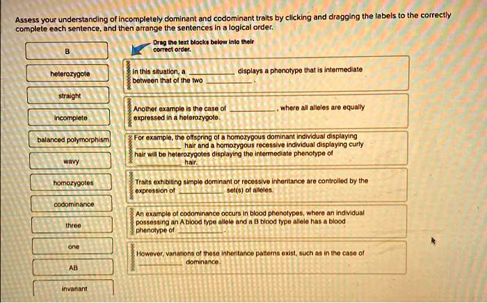 Assess your understanding of incompletely dominant and codominant traits by clicking and ...