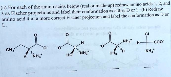 Solved A For Each Of The Amino Acids Below Real Or Made Up Redraw
