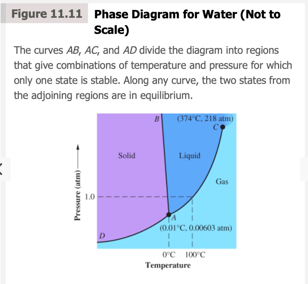 figure 1111 phase diagram for water not to scale the curves ab ac and ...