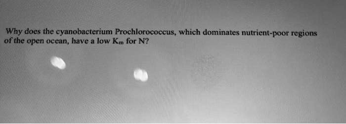 SOLVED: Why does the cyanobacterium Prochlorococcus, which dominatcs ...