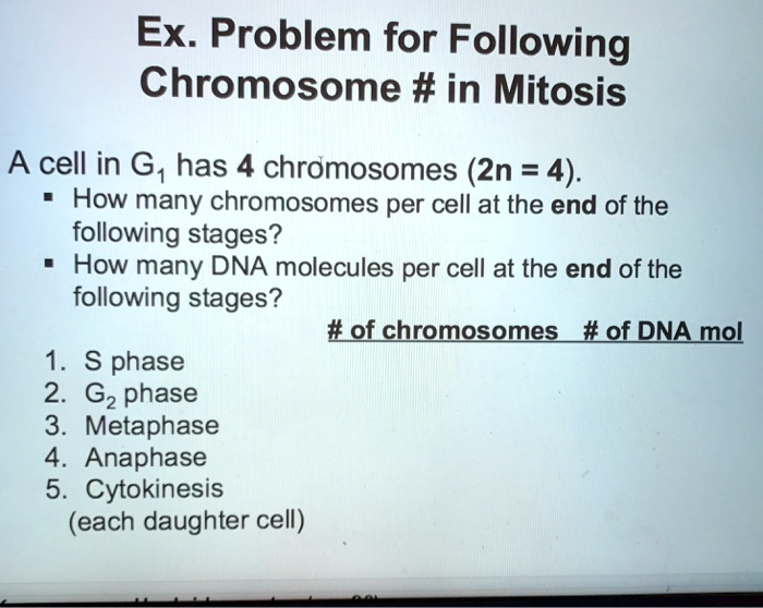 Ex. Problem for Following Chromosome # in Mitosis A cell in G? has 4 ...