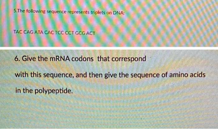 5the following sequence represerits triplets on dna tac cag ata cactcc ...