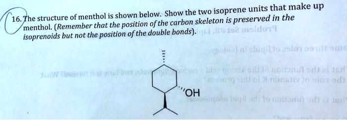SOLVED: Show the two isoprene units that make up 16.The structure of ...