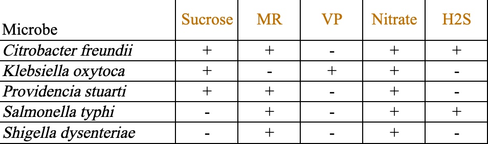 SOLVED: Sucrose MR VP Nitrate H2S Microbe: Citrobacter freundii ...