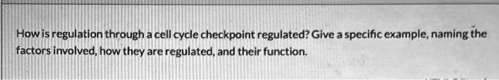SOLVED: How is[ regulation through cell cycle checkpoint regulated ...