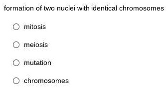 SOLVED: 'choose the correct one, please formation of two nuclei with ...