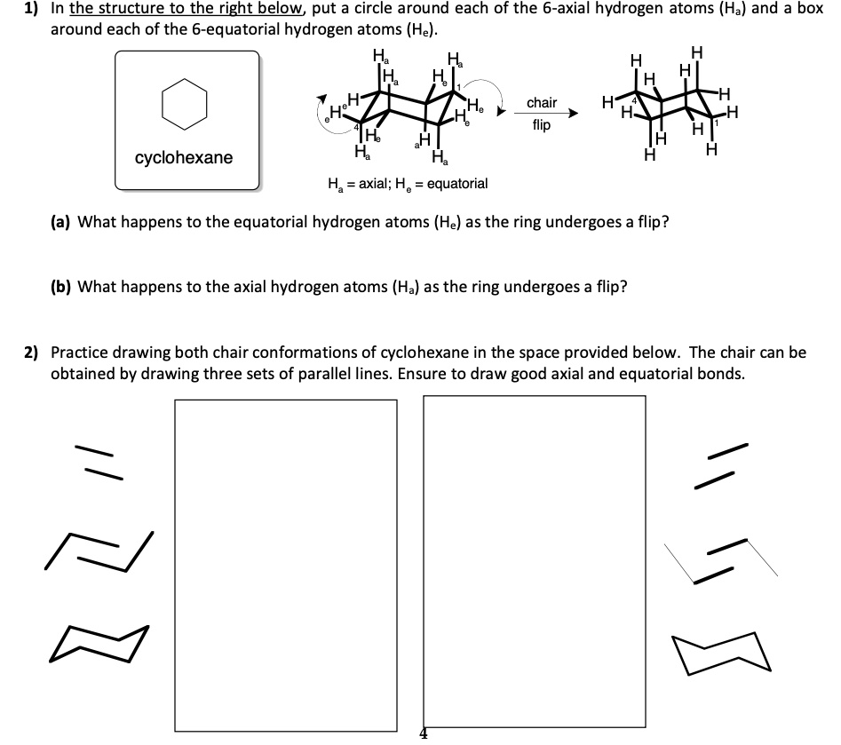 SOLVED:1) In the structure to the right below put a circle around each ...