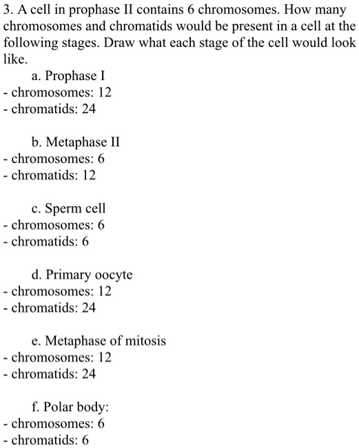 SOLVED: A cell in prophase II contains 6 chromosomes. How many ...
