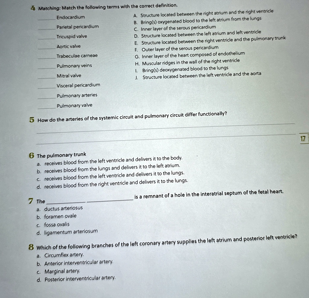 4 matching match the following terms with the correct definition endocardium parietal ...