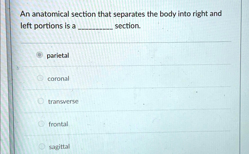 SOLVED: An anatomical section that separates the body into right and ...
